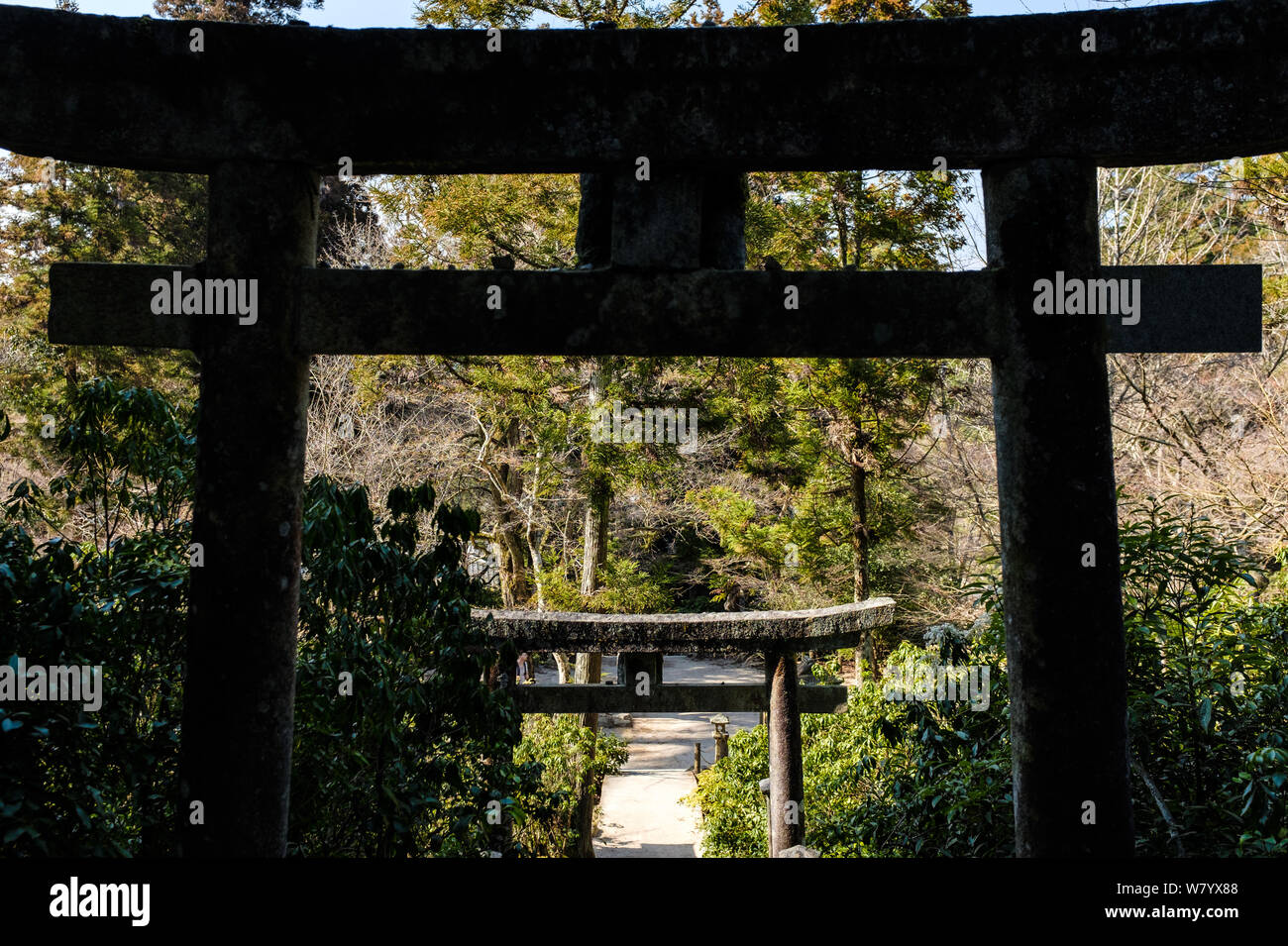 Torii gates in Nara prefecture, Japan Stock Photo - Alamy