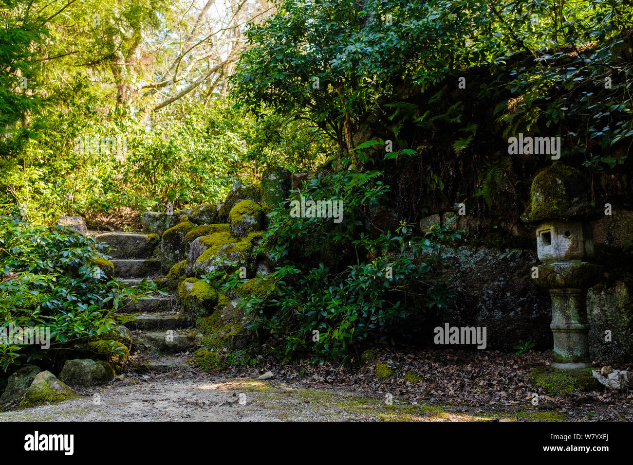 Nature taking over abandoned hi-res stock photography and images - Alamy