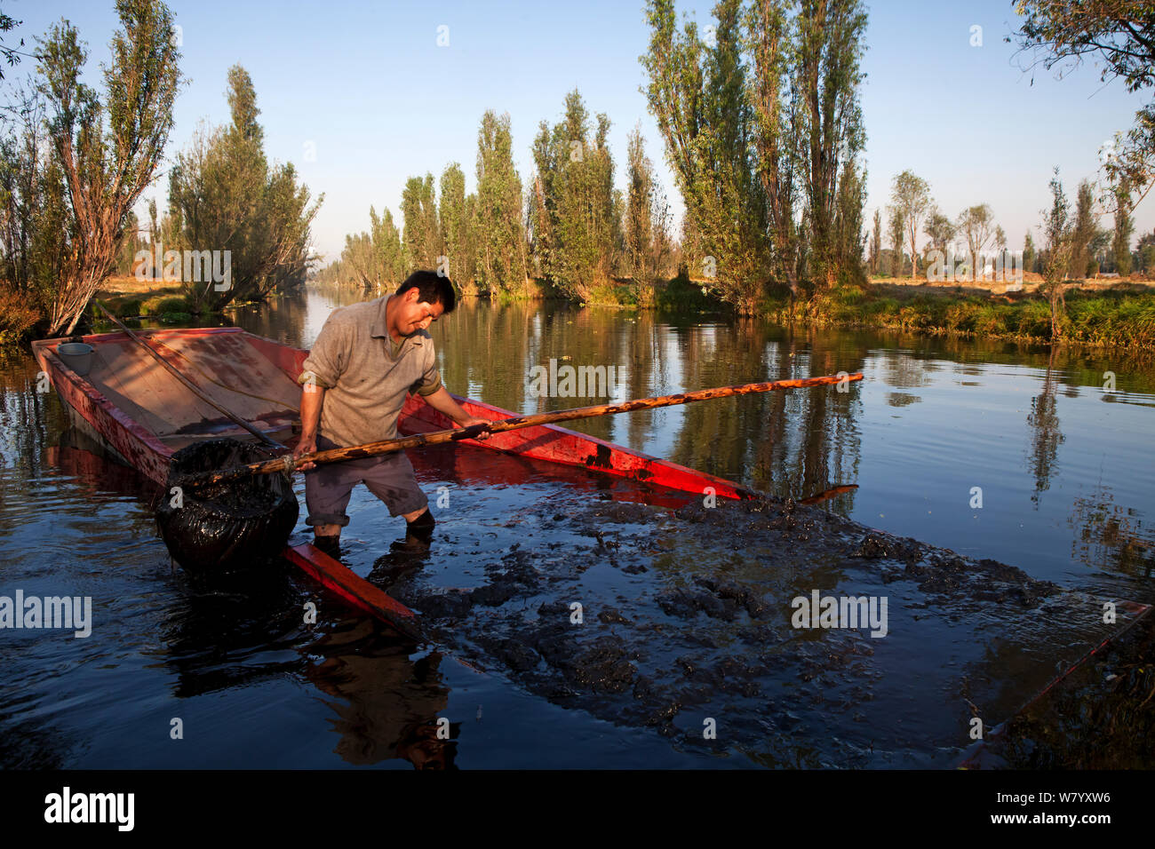 Man extracting mud from the bottom of canal, to be used as fertilizer ...