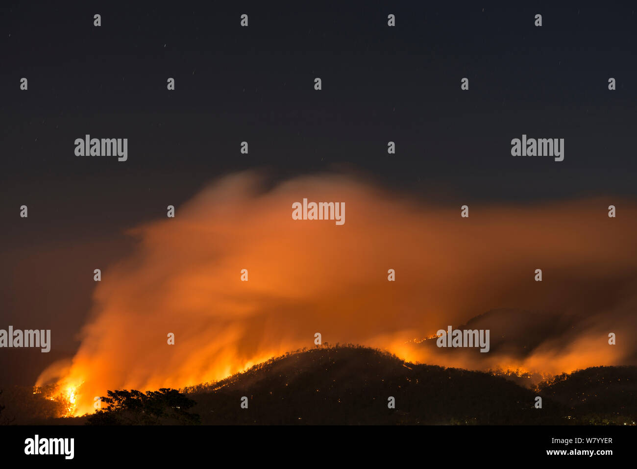 Controlled bush fire as habitat management, at night, Atherton ...