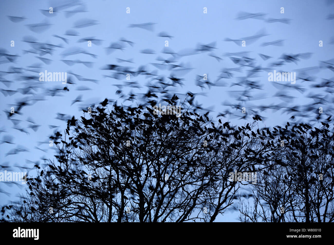 Falkoping hi-res stock photography and images - Alamy