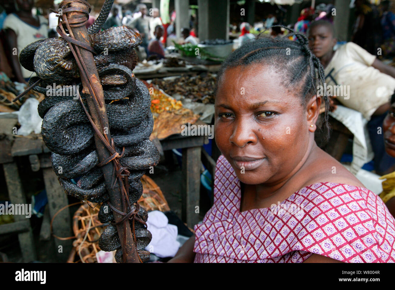 Snake smoked for bush meat, Mbandaka market, Democratic Republic of ...