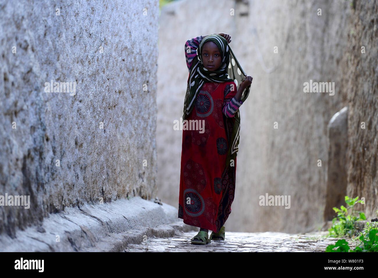 Muslim woman walking down narrow streets, Harar, an important holy city ...