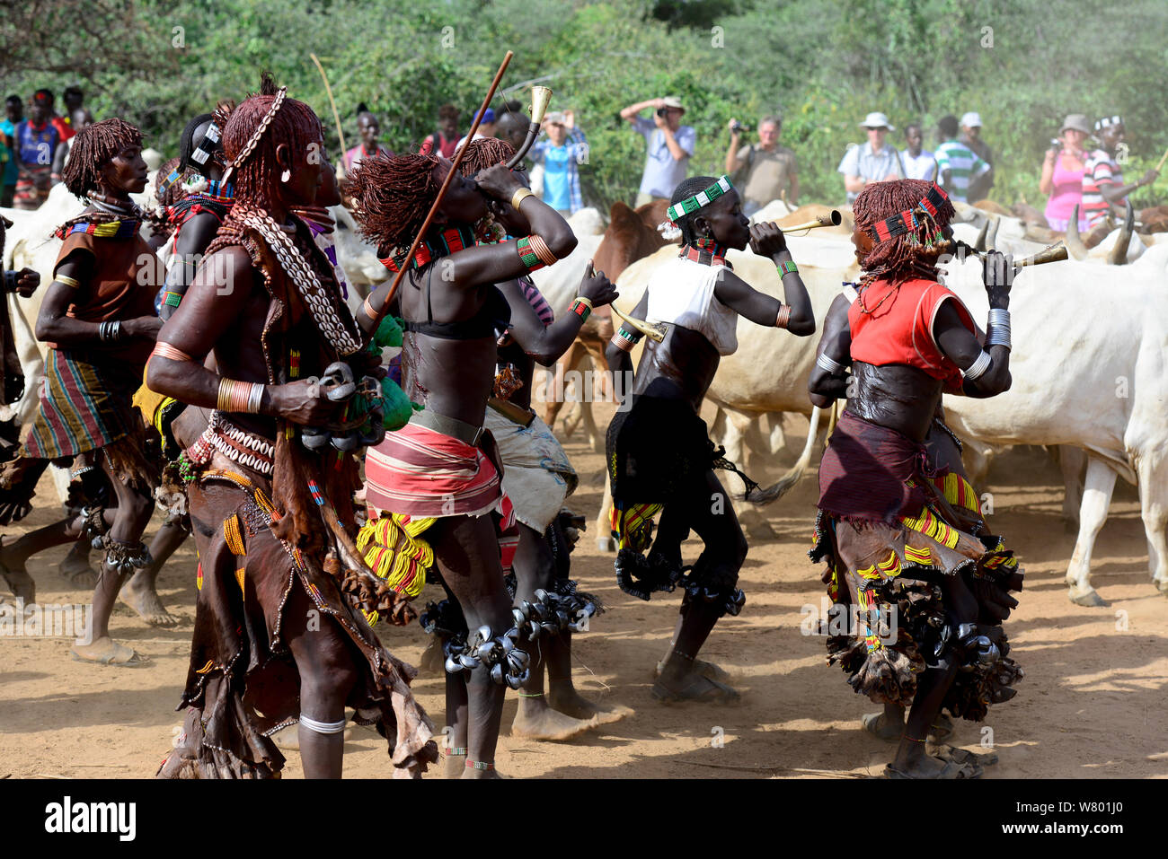 Women dancing at the Jumping of the bulls Hamer ceremony, with tourists ...