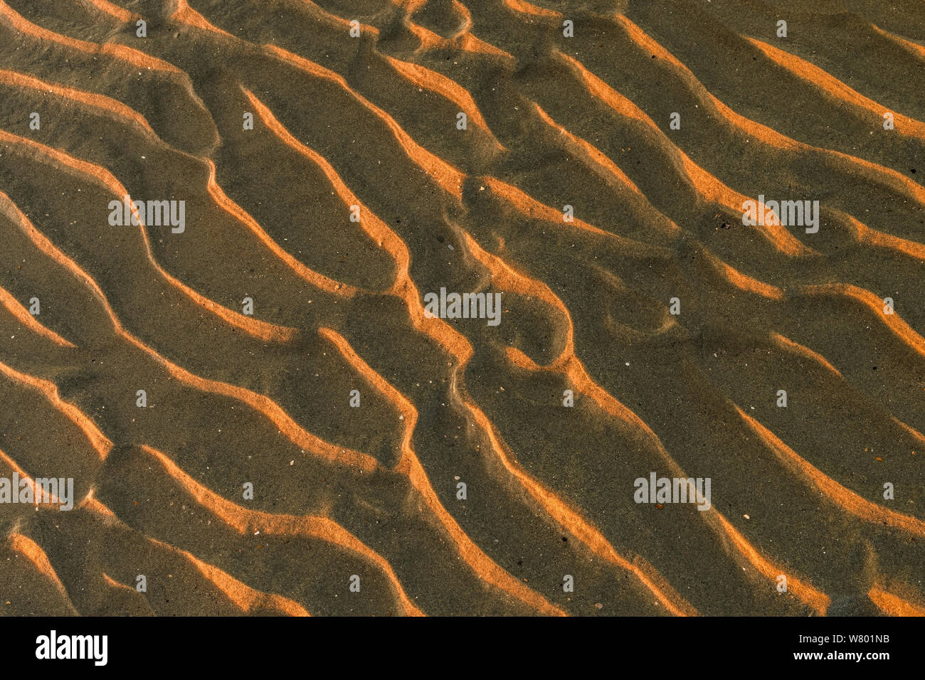 Gateway to the gold coast hi-res stock photography and images - Alamy