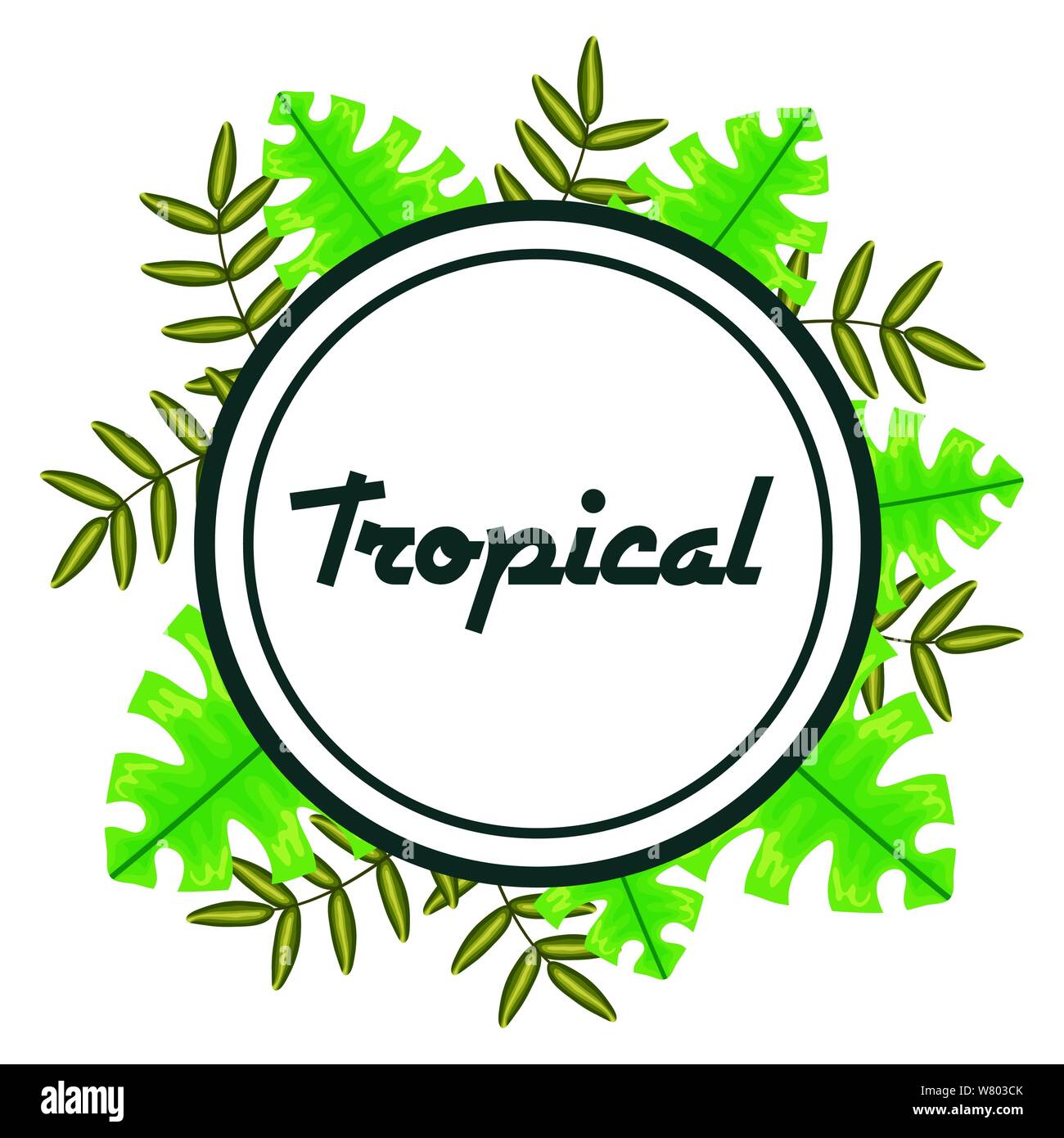 circular frame with tropical leafs vector illustration design Stock ...