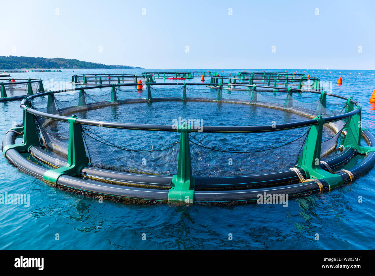 Seabass farm, fish pens off the coast of Secovlje Saline Nature Park ...