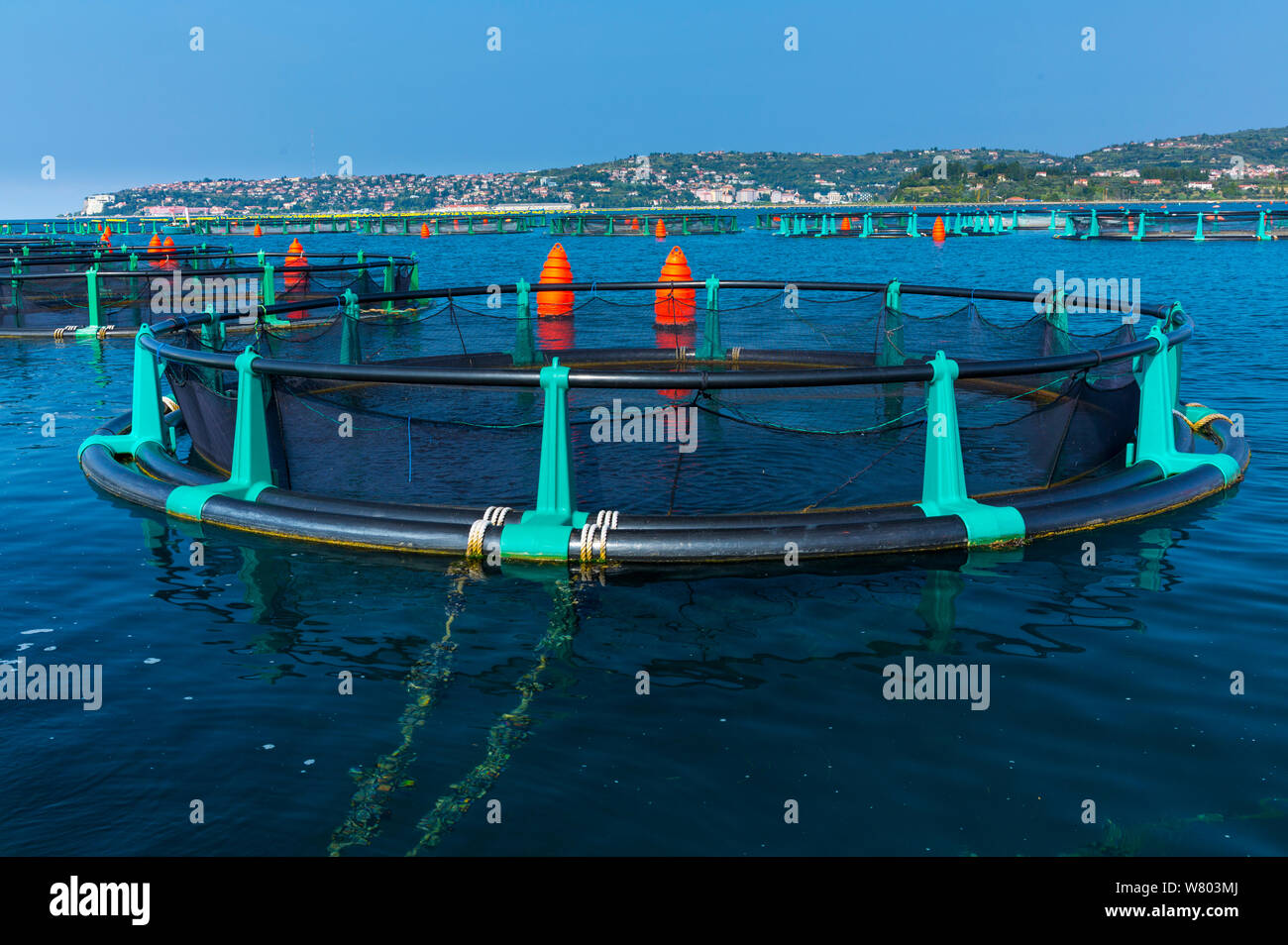 Fish farm pen hi-res stock photography and images - Alamy