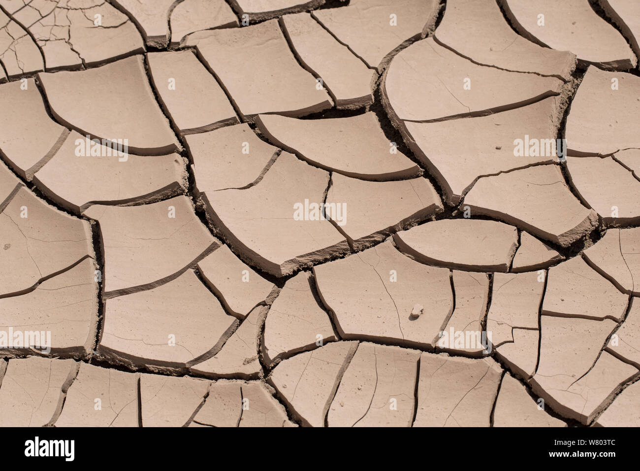 Cracked mud abstract, Atacama, Chile Stock Photo - Alamy