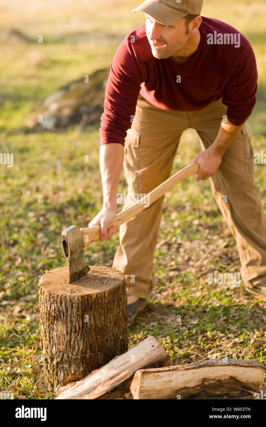 Mid-adult man resting an axe on a tree stump Stock Photo - Alamy