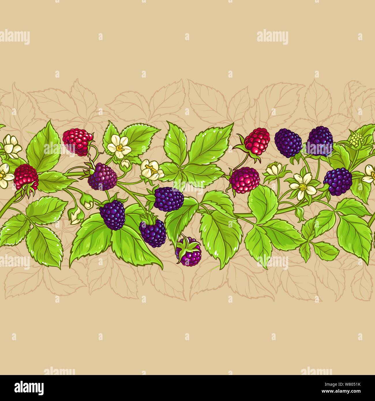 Boysenberry color hi-res stock photography and images - Alamy