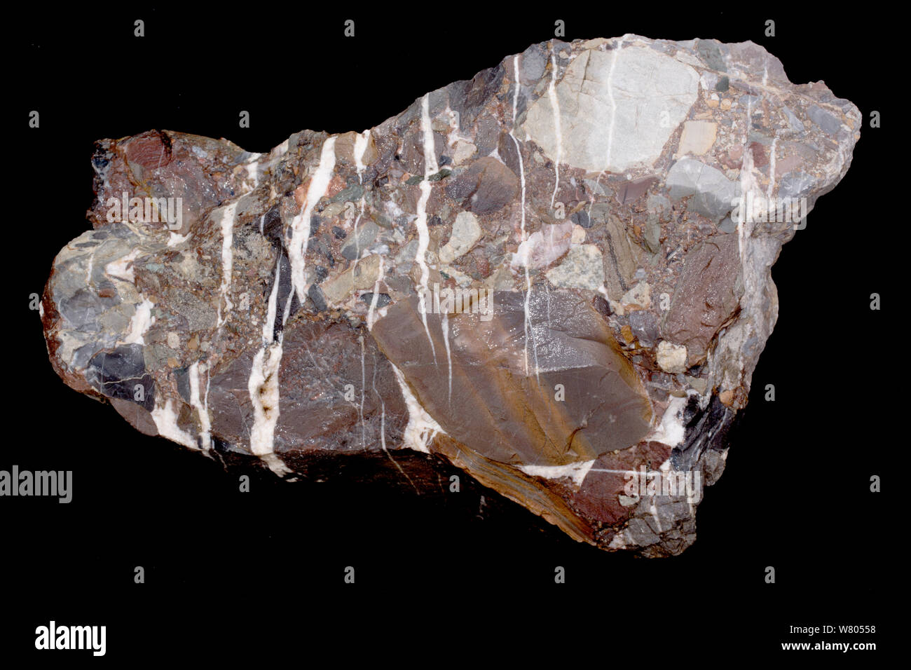 Leesburg conglomerate rock, sedimentary polymictic conglomerate. Formed ...