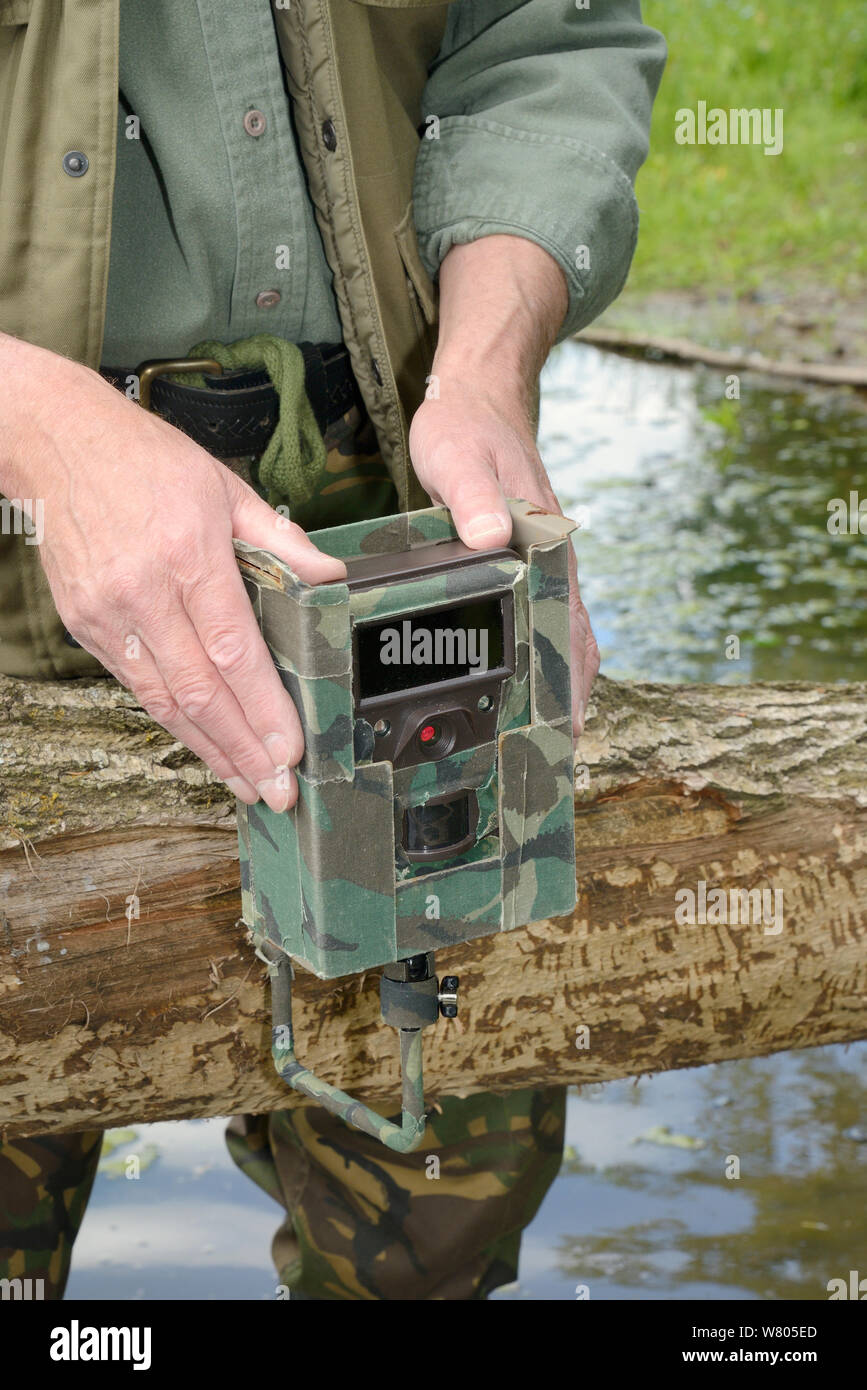 Angiosperm model hi-res stock photography and images - Alamy