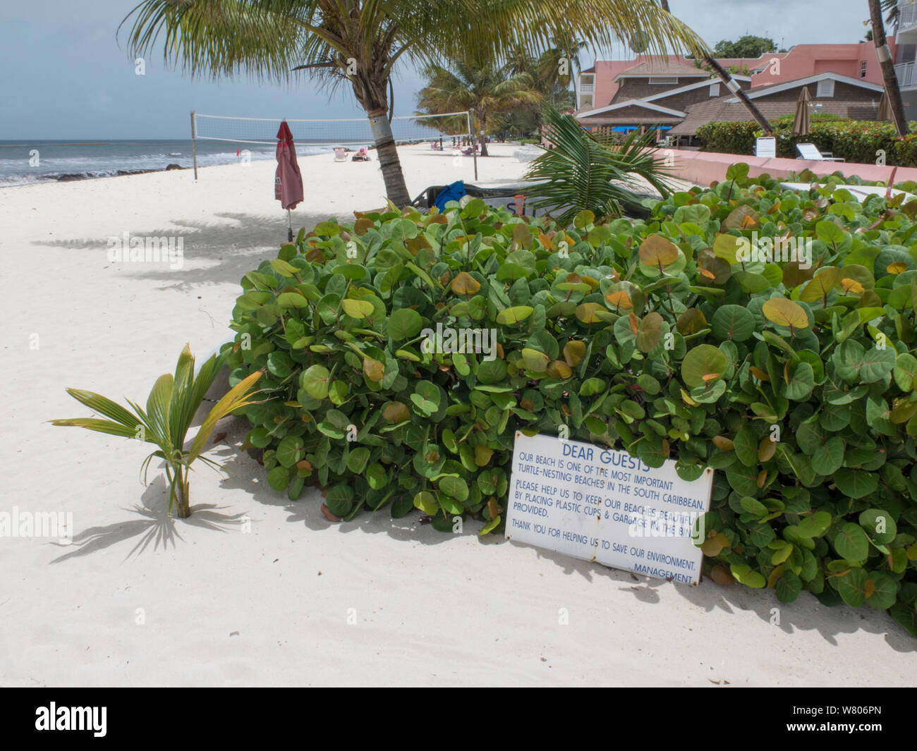 Keep Beach Clean Sign High Resolution Stock Photography and Images - Alamy