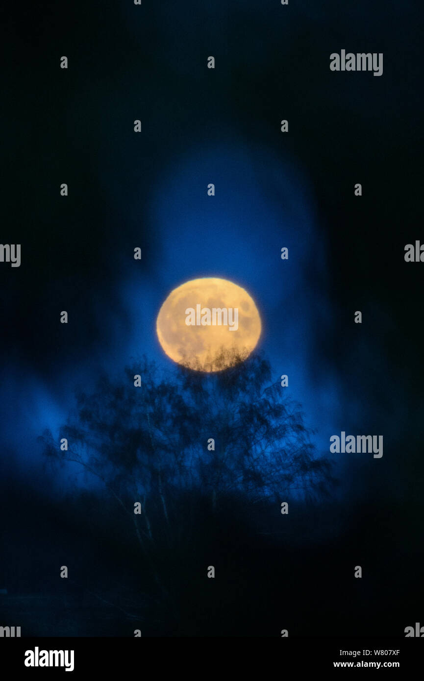 Mysterious spirituality hi-res stock photography and images - Alamy