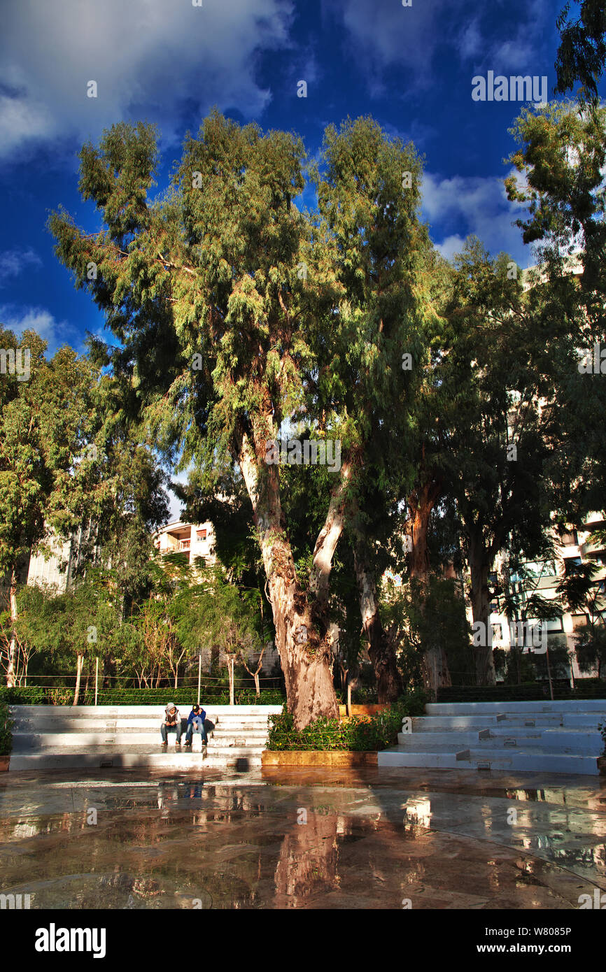 Beirut, Lebanon - 01 Jan 2018. The park in Beirut city, Lebanon Stock ...