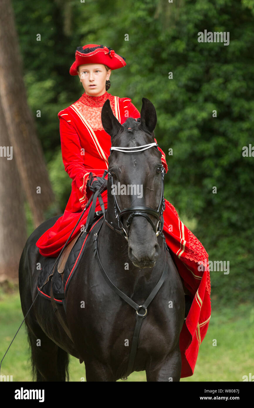 Lady dressed in period costume, riding rare black Kladruber stallion ...