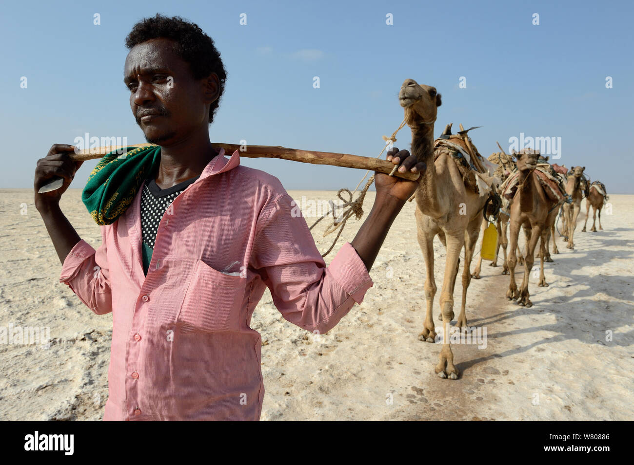 Salt slabs africa hi-res stock photography and images - Alamy
