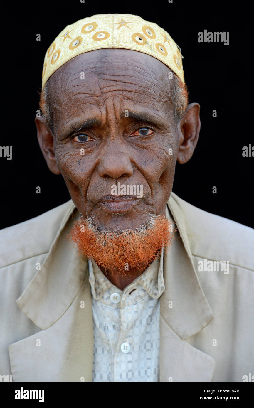 Old man beards hi-res stock photography and images - Alamy