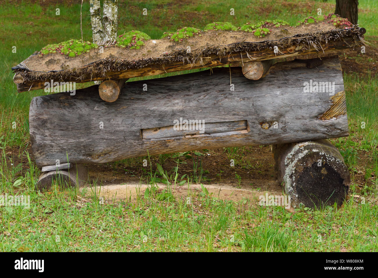 Ancient style bee hives, known as a bee gum, made from hollowed out ...