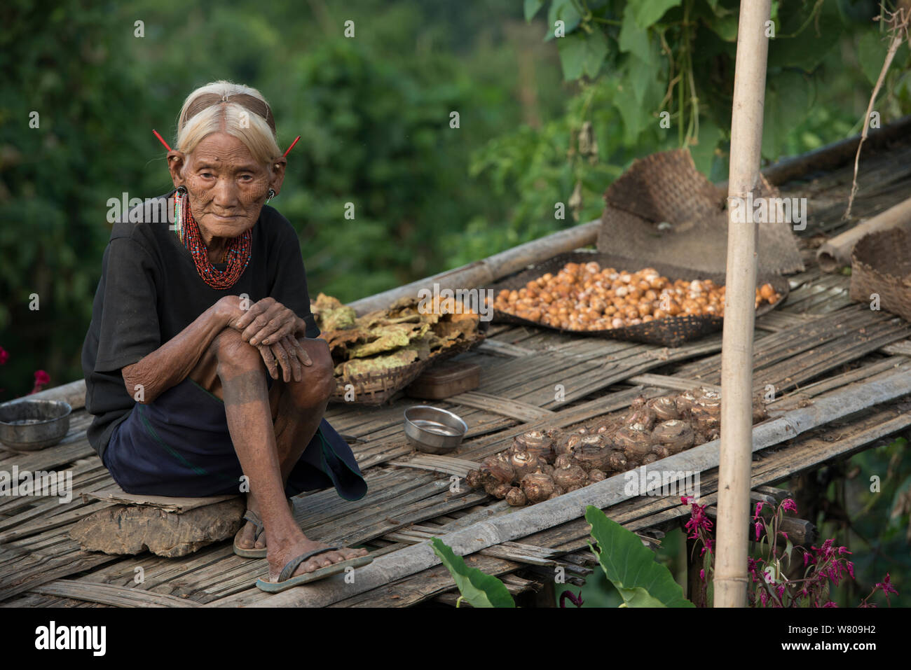 Elderly Konyak Naga woman in traditional dress. Mon district. Nagaland ...