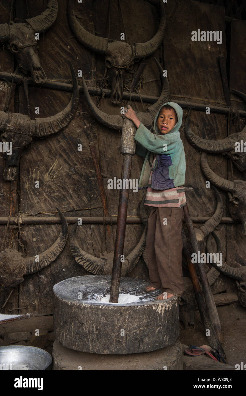 Konyak Naga boy pounding rice, in communal house with Buffalo skulls ...