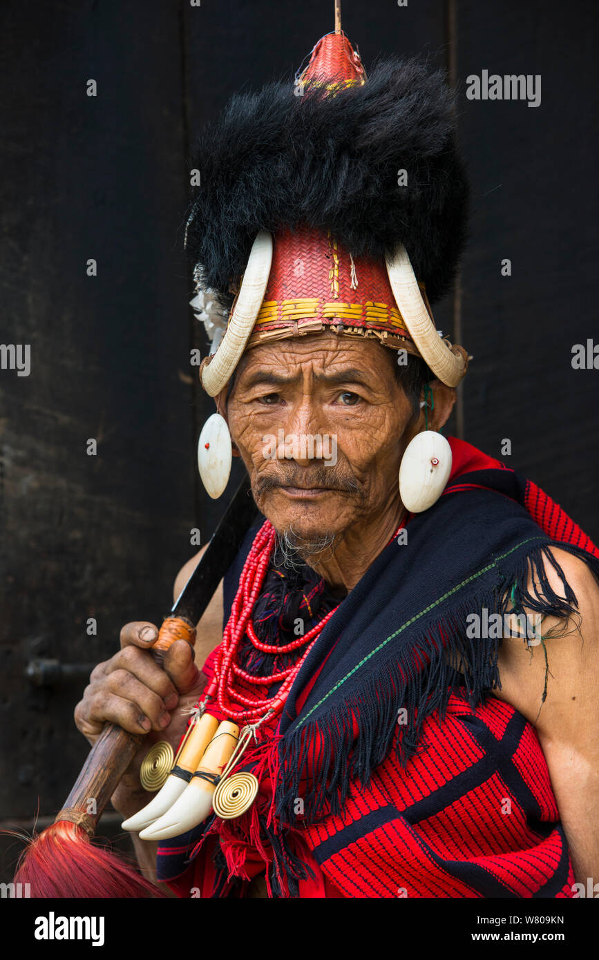 Chang Naga man in festival dress. Tuensang district. Nagaland, North ...