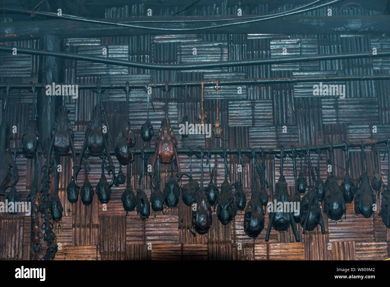 Ao Naga house with animal skulls, Ao Naga Tribe. Mokokchung district ...