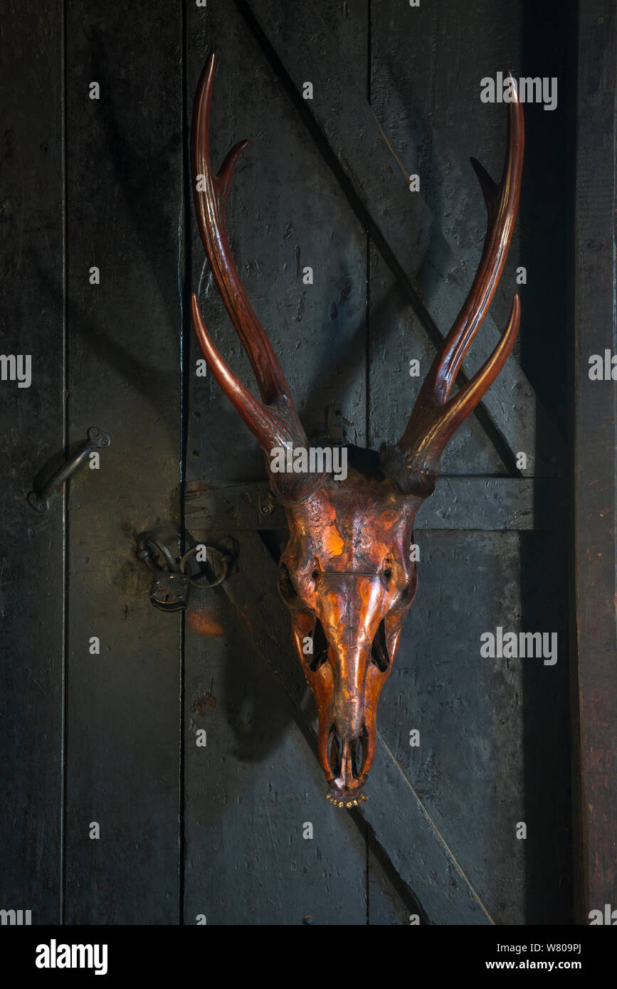 Ao Naga house with animal skulls. Ao Naga Tribe. Mokokchung district ...