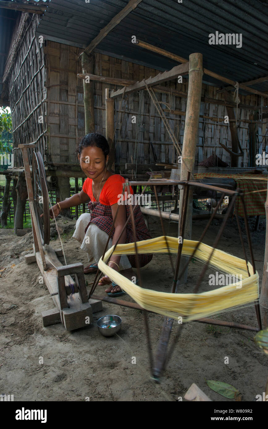 Mising tribe woman spinning silk, Majuli Island, Brahmaputra River ...