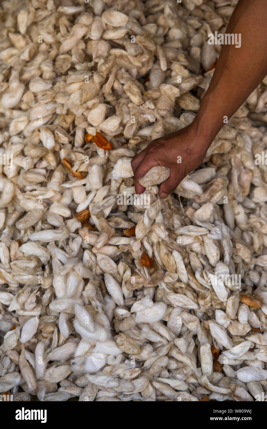 Cherrapunji market hi-res stock photography and images - Alamy