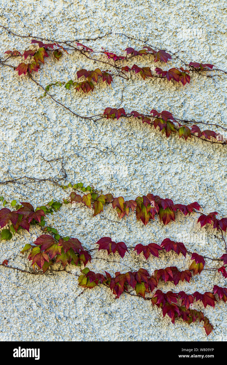 Pebbledashed walls hi-res stock photography and images - Alamy