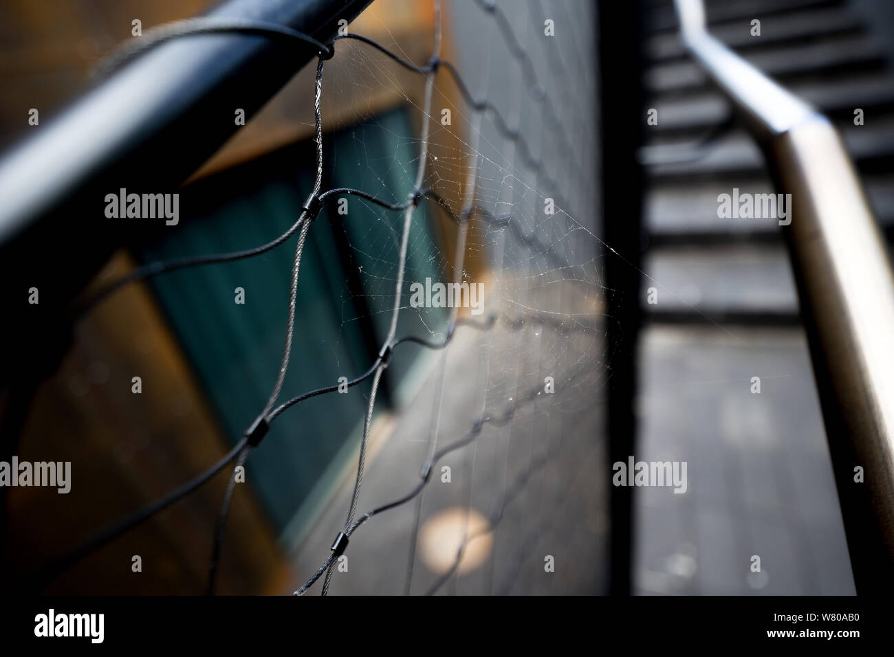 Spider web on metallic handle Stock Photo - Alamy