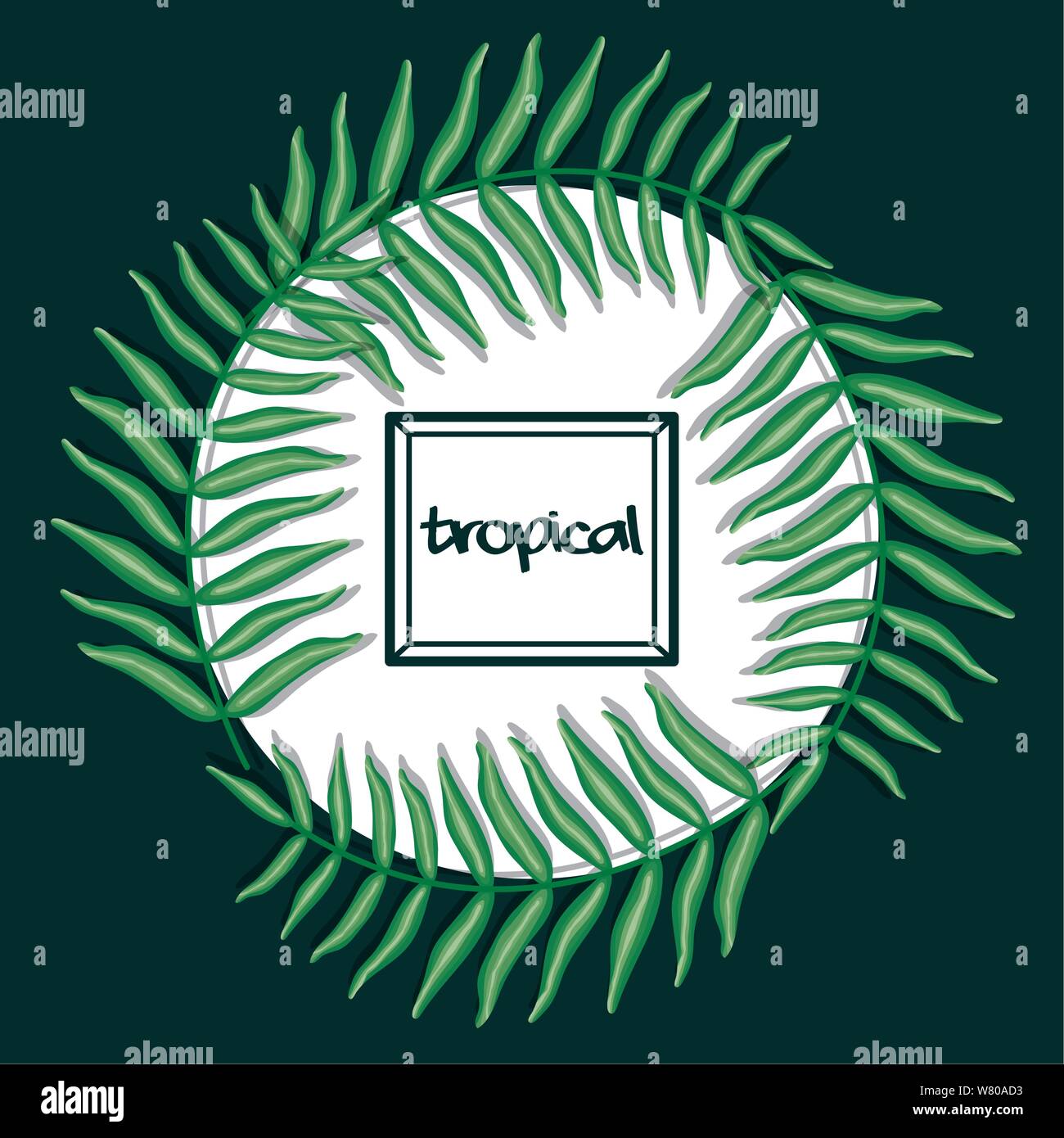 circular frame with tropical leafs vector illustration design Stock ...