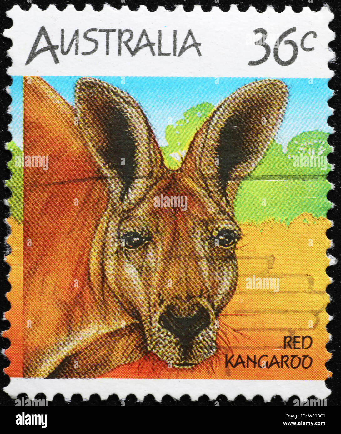 Stamp australia red kangaroo hi-res stock photography and images - Alamy