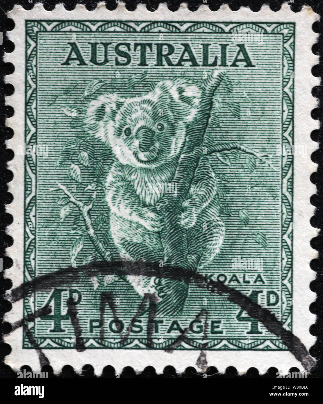 Koala on vintage australian stamp Stock Photo - Alamy