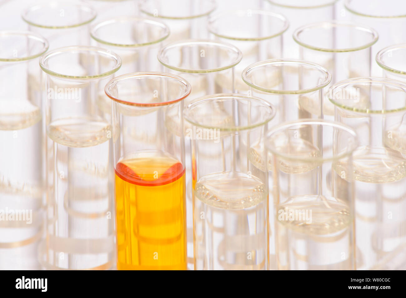 scientific experiment in chemical laboratory Stock Photo - Alamy