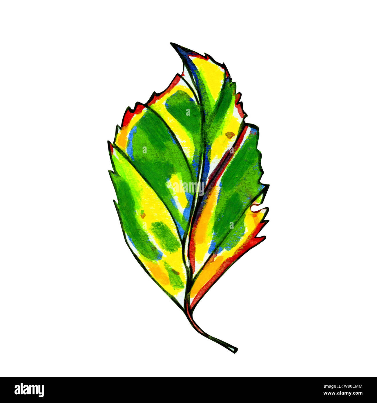 Fall foliage on blue Cut Out Stock Images & Pictures - Alamy