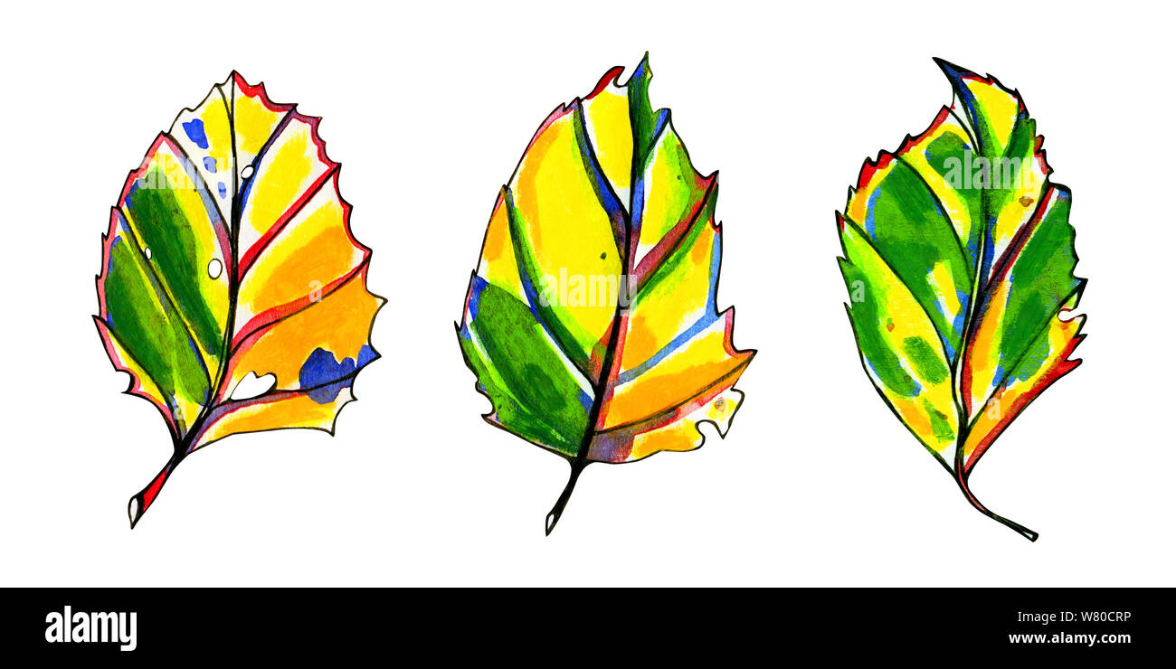 Three Objects Clipart Black