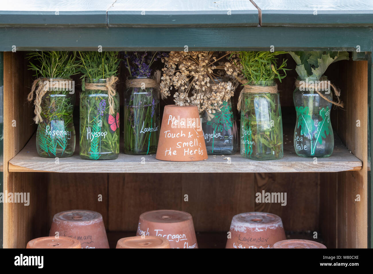 Collection of herbs hi-res stock photography and images - Alamy