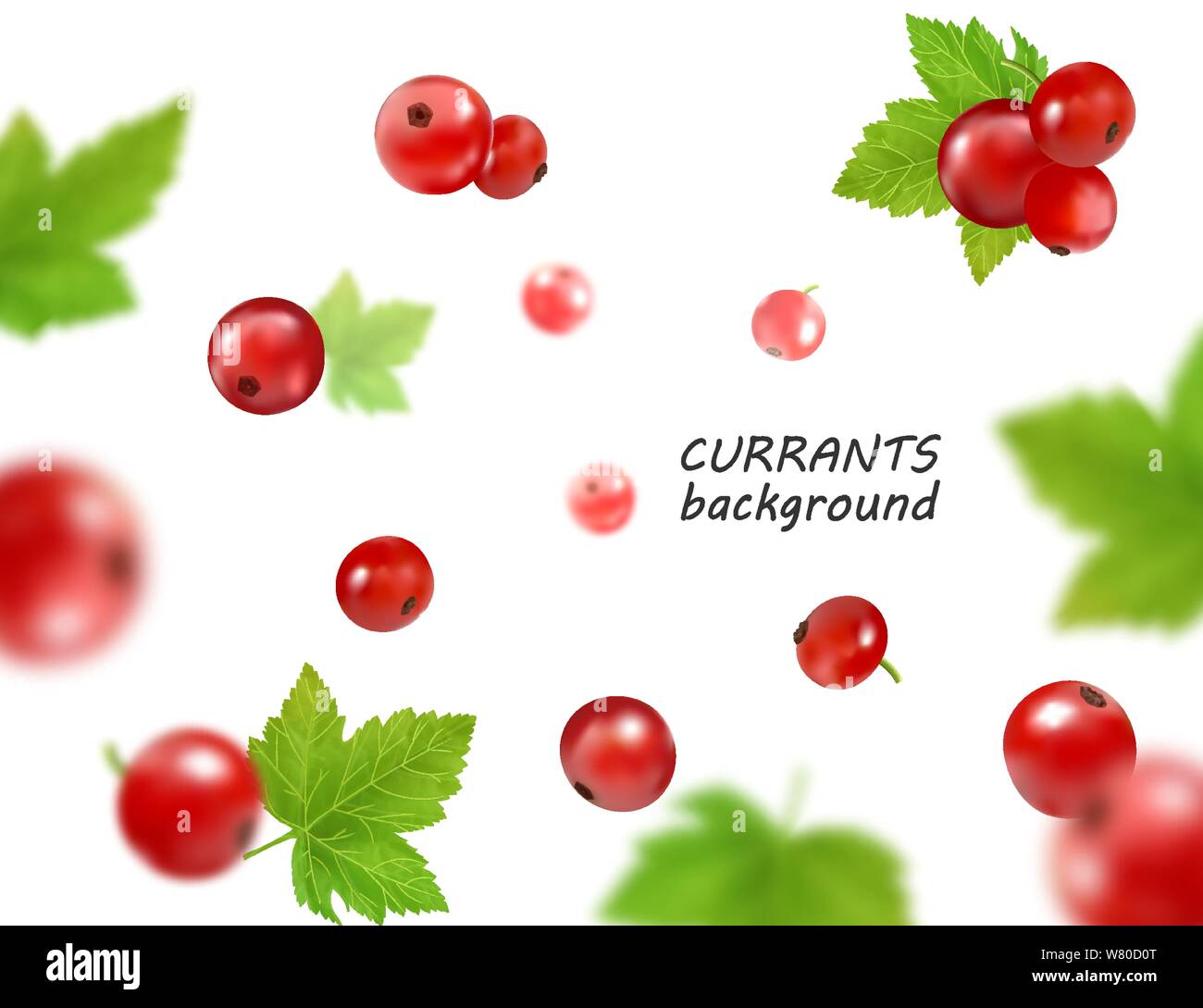 Realistic vector falling red currant isolated on transparent background ...