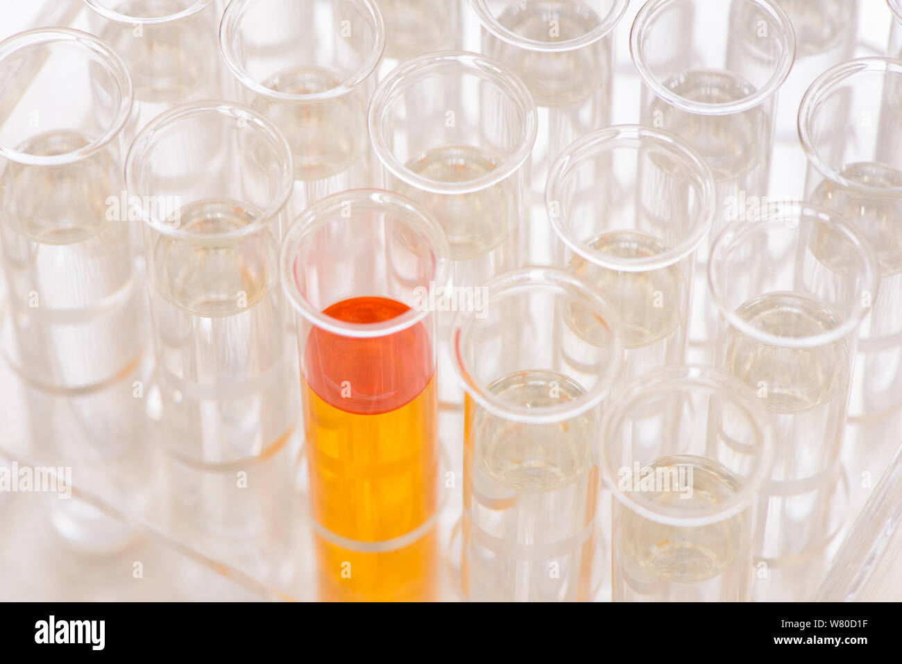Scientific Experiment High Resolution Stock Photography and Images - Alamy