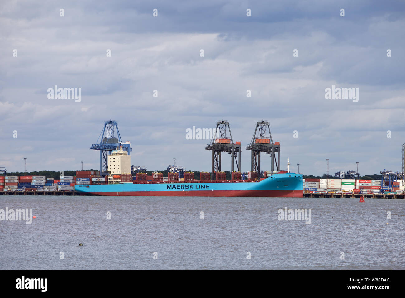 Container ship docked at Trinity Terminal, Port of Felixstowe, Suffolk ...