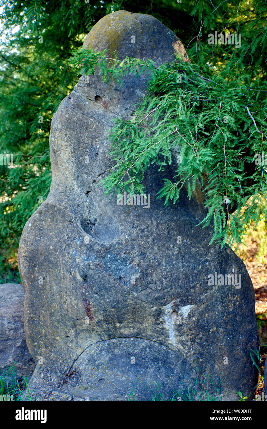 Petrified ammonite, which looks like an alien resident, against the ...