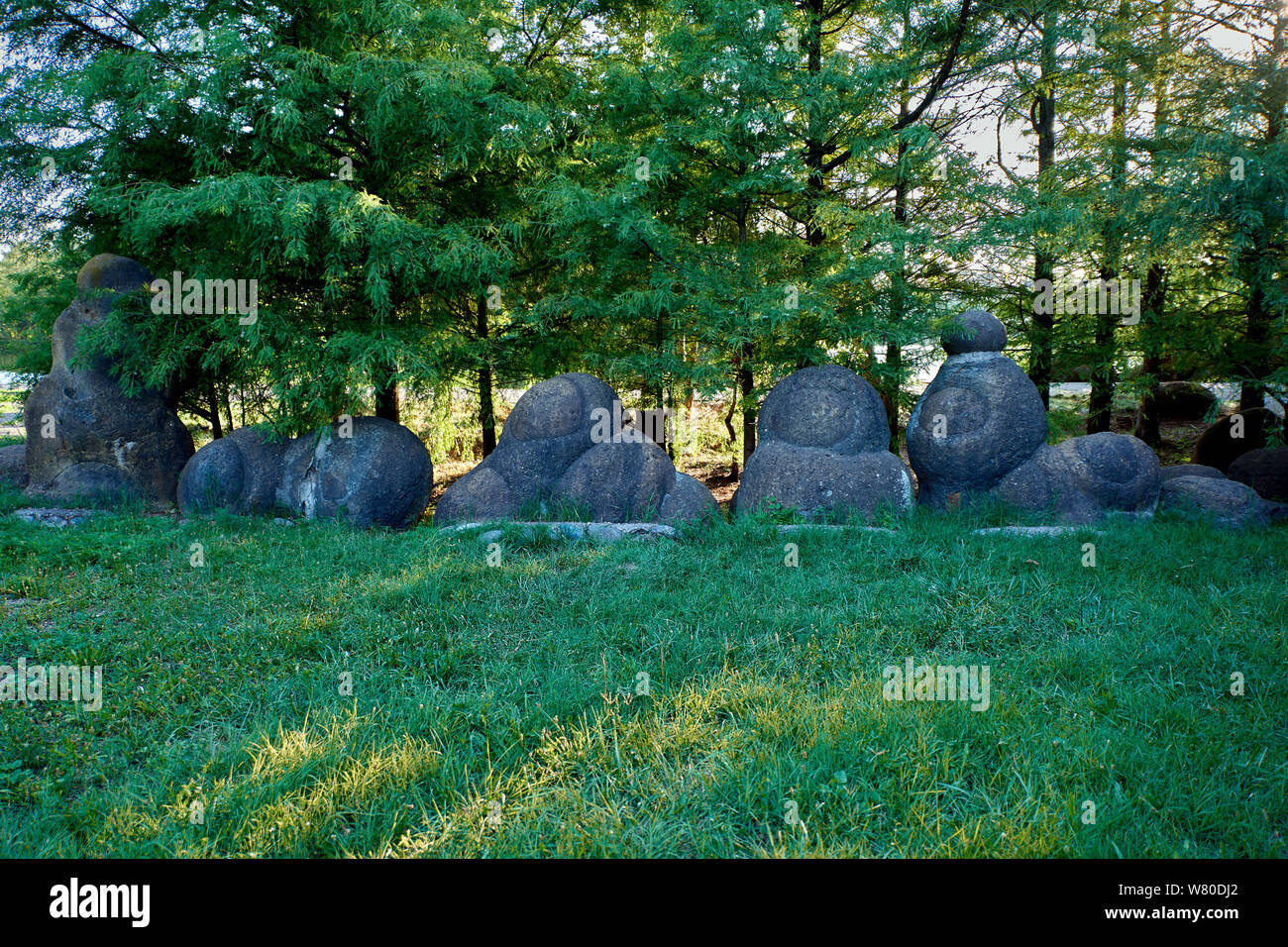 Petrified ammonite is a group of alien-like stones Stock Photo - Alamy