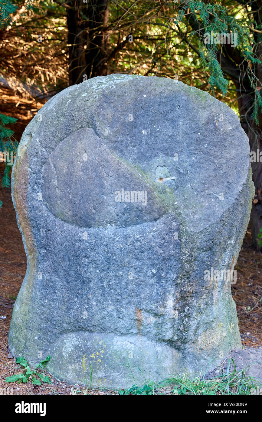 Petrified ammonite, which looks like an alien resident, against the ...