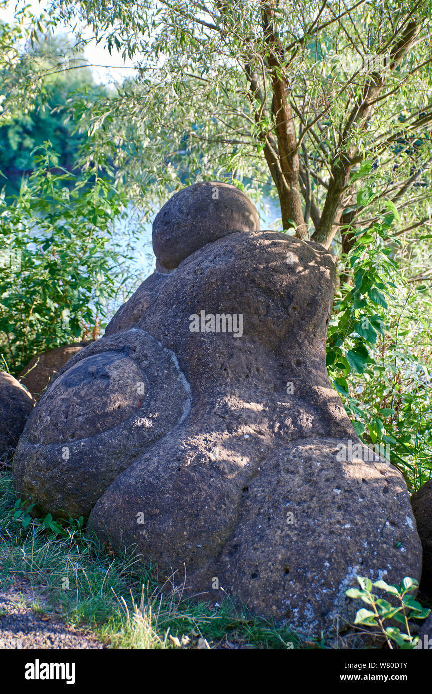 Petrified ammonite, which looks like an alien resident, against the ...