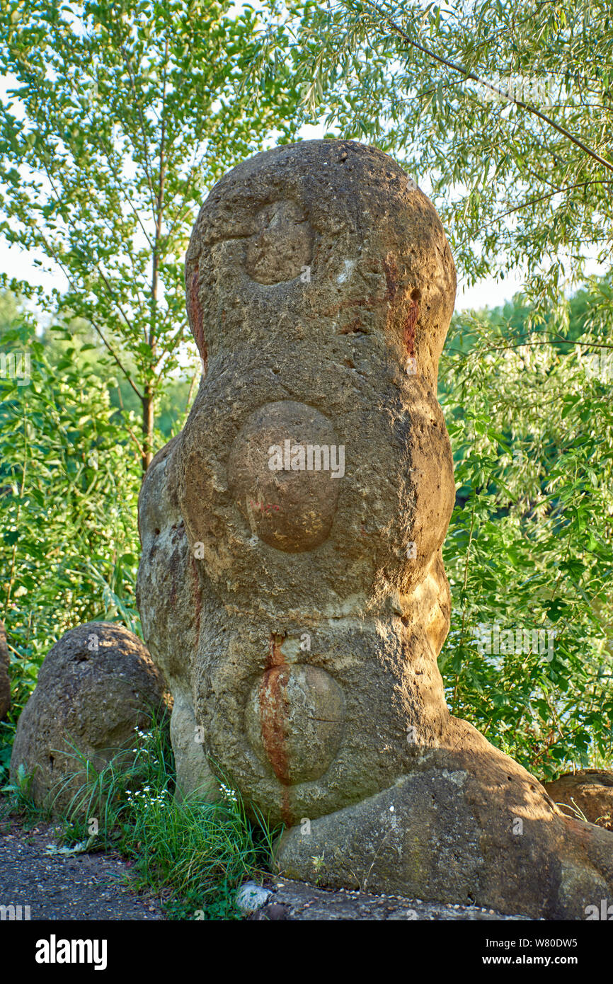 Petrified ammonite, which looks like an alien resident, against the ...