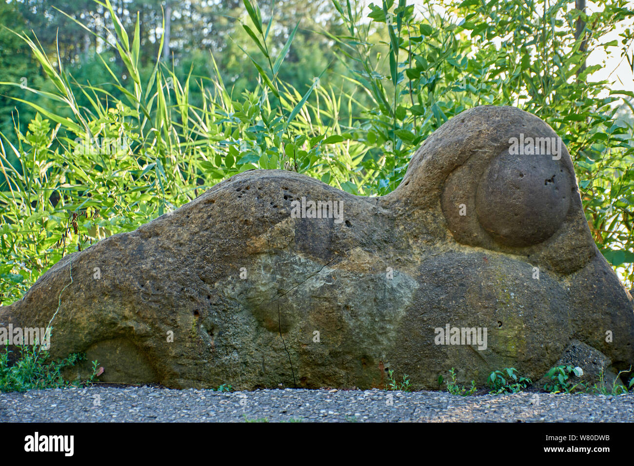 Petrified ammonite, which looks like an alien resident, against the ...