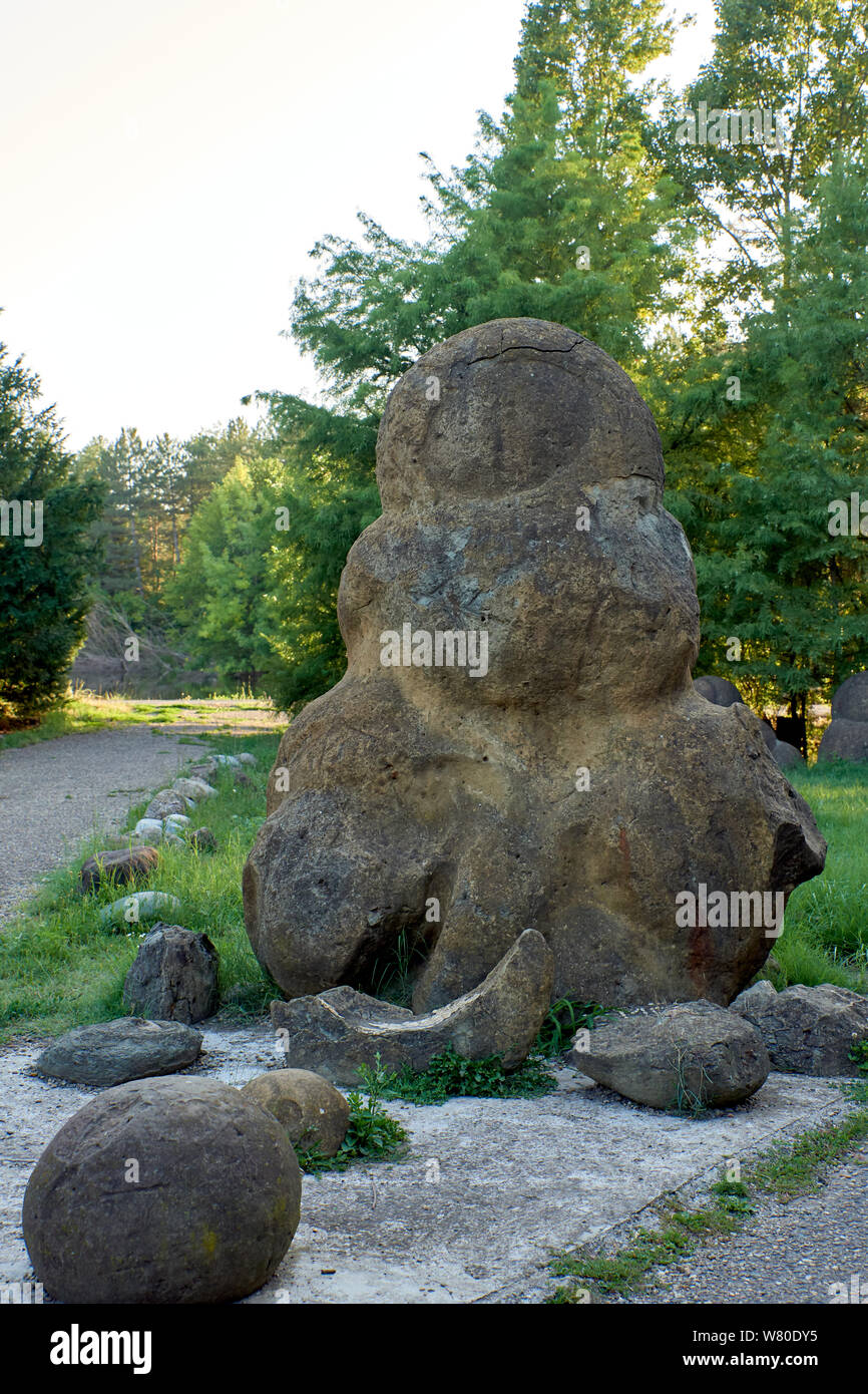 Petrified ammonite, which looks like an alien resident, against the ...